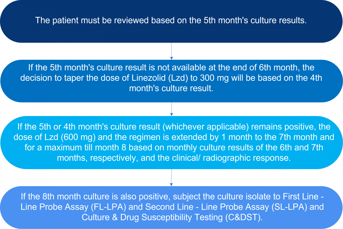 Pharmacist: TB Treatment | Knowledge Base